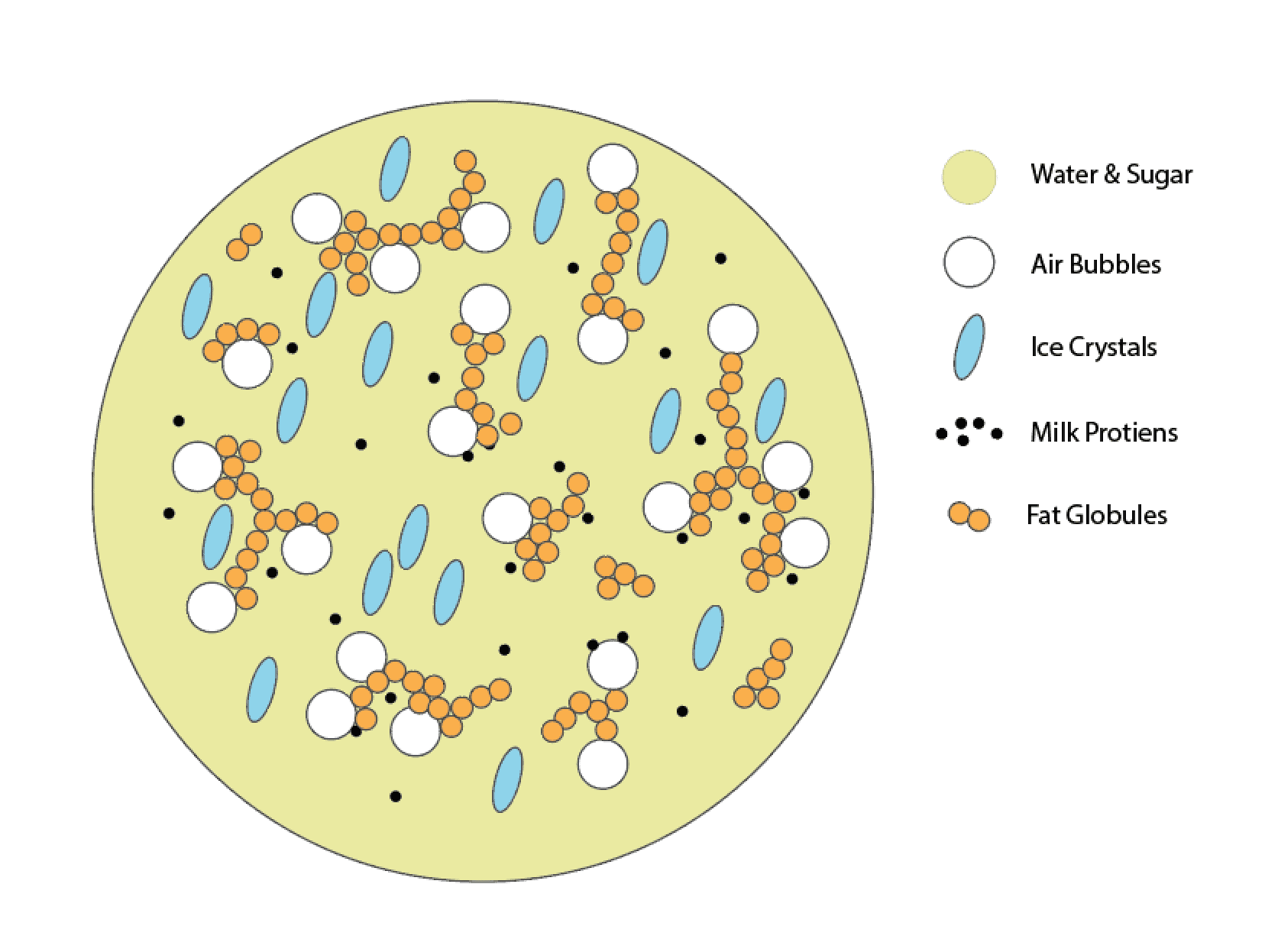 The Thermodynamics of Ice Cream Made With Dry Ice | ThermoWorks
