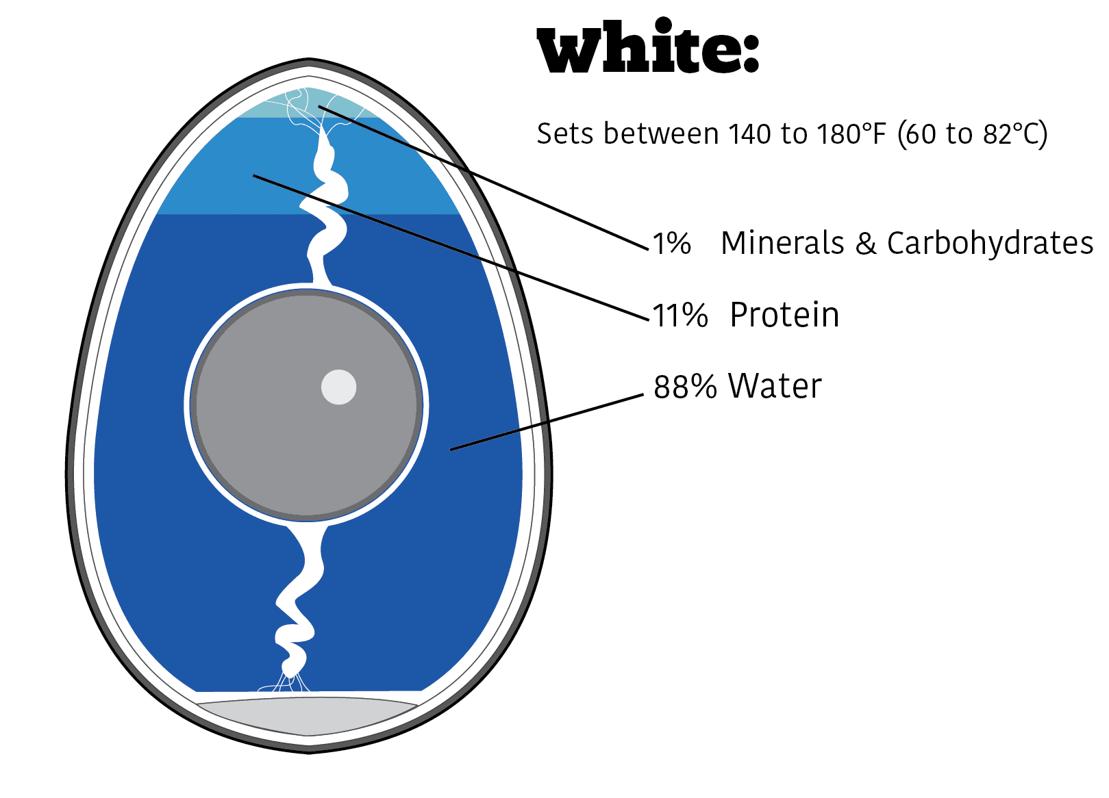 Boiling Eggs: Everything You Need to Know | ThermoWorks