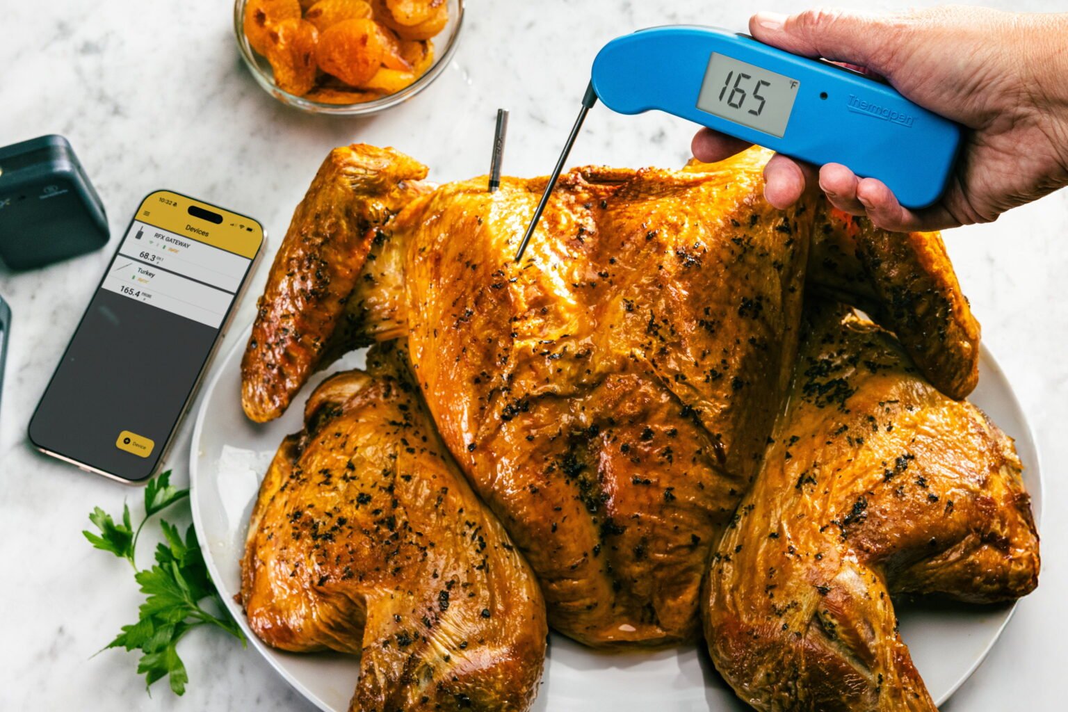How to Cook a Turkey: Temperature Tips for the Perfect Turkey