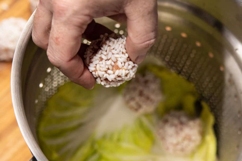 Chinese Pearl Meatballs: Temp Tips for Dim Sum| ThermoWorks