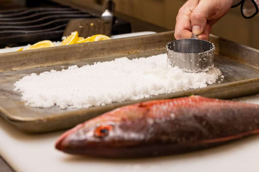 salt-crusted red snapper recipe and temps | ThermoWorks