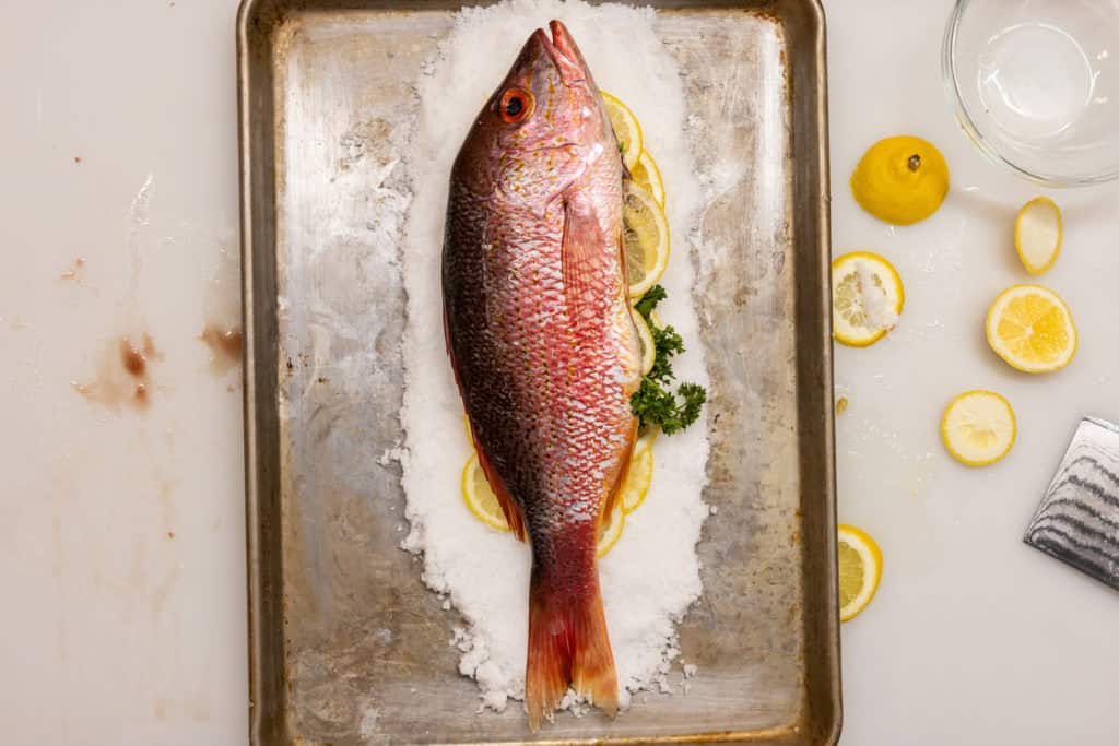 salt-crusted red snapper recipe and temps | ThermoWorks