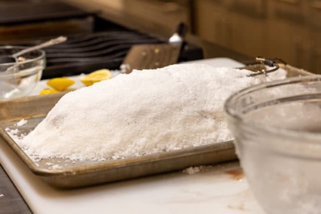 salt-crusted red snapper recipe and temps | ThermoWorks