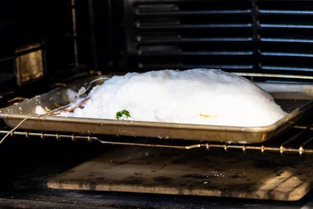 salt-crusted red snapper recipe and temps | ThermoWorks