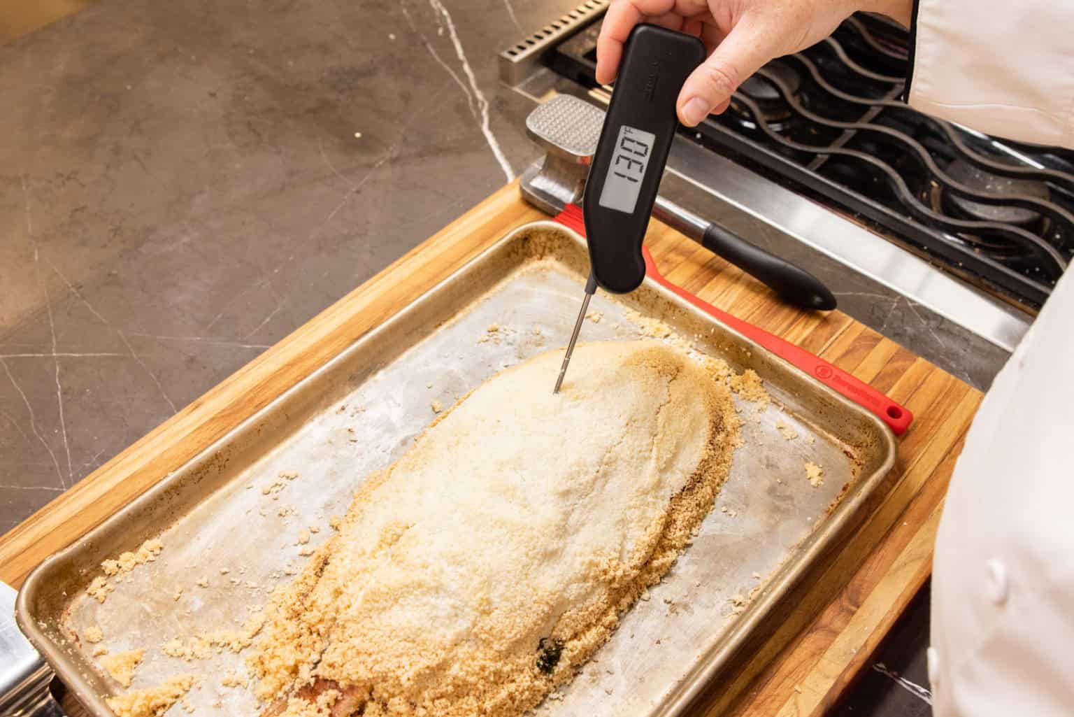 salt-crusted red snapper recipe and temps | ThermoWorks