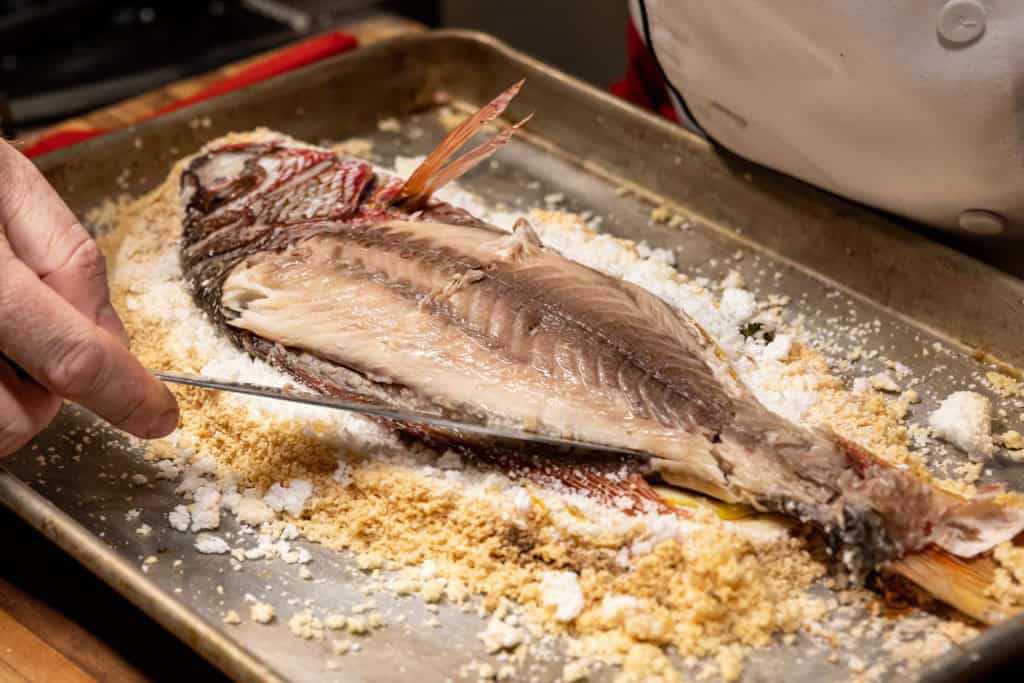 salt-crusted red snapper recipe and temps | ThermoWorks
