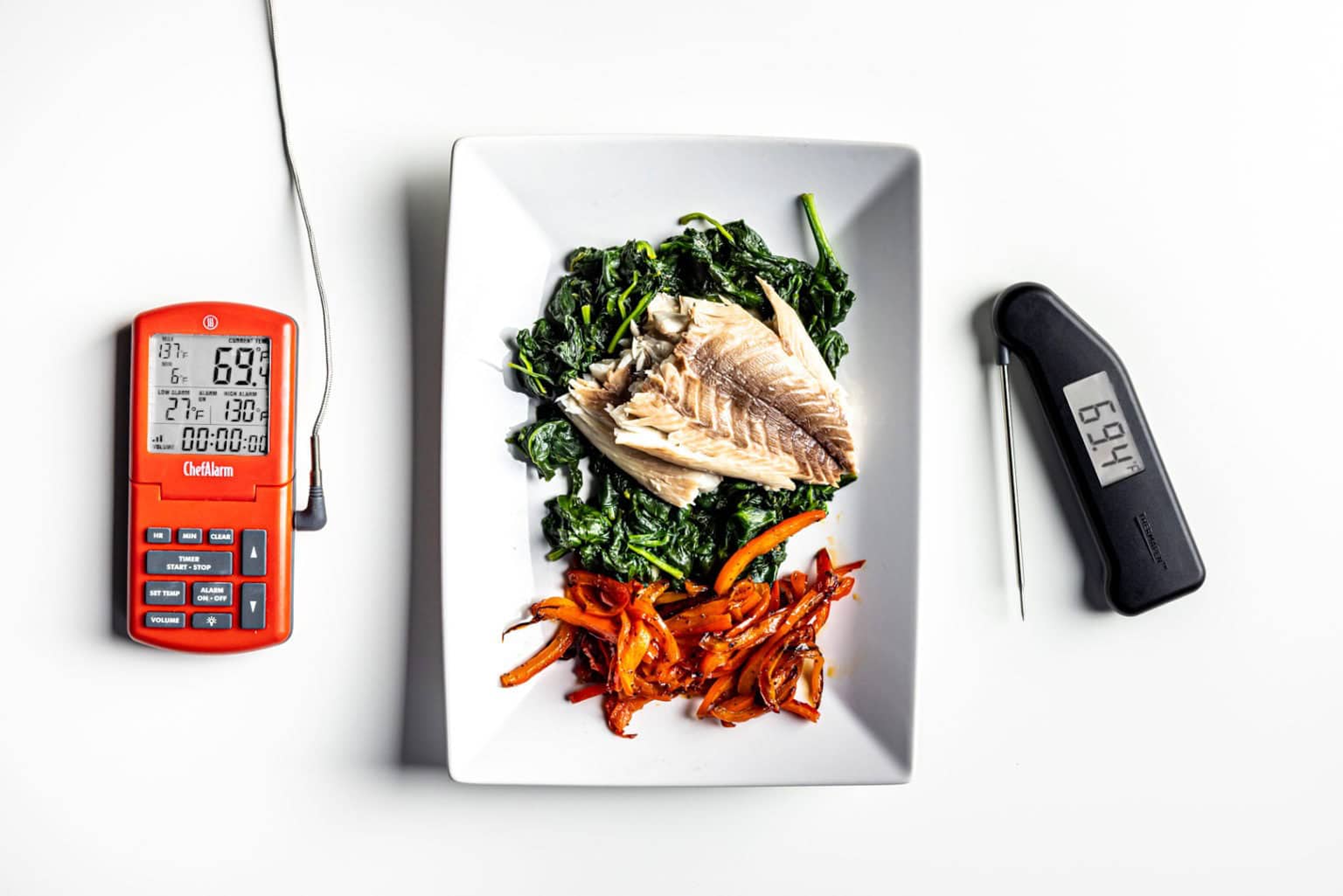 salt-crusted red snapper recipe and temps | ThermoWorks