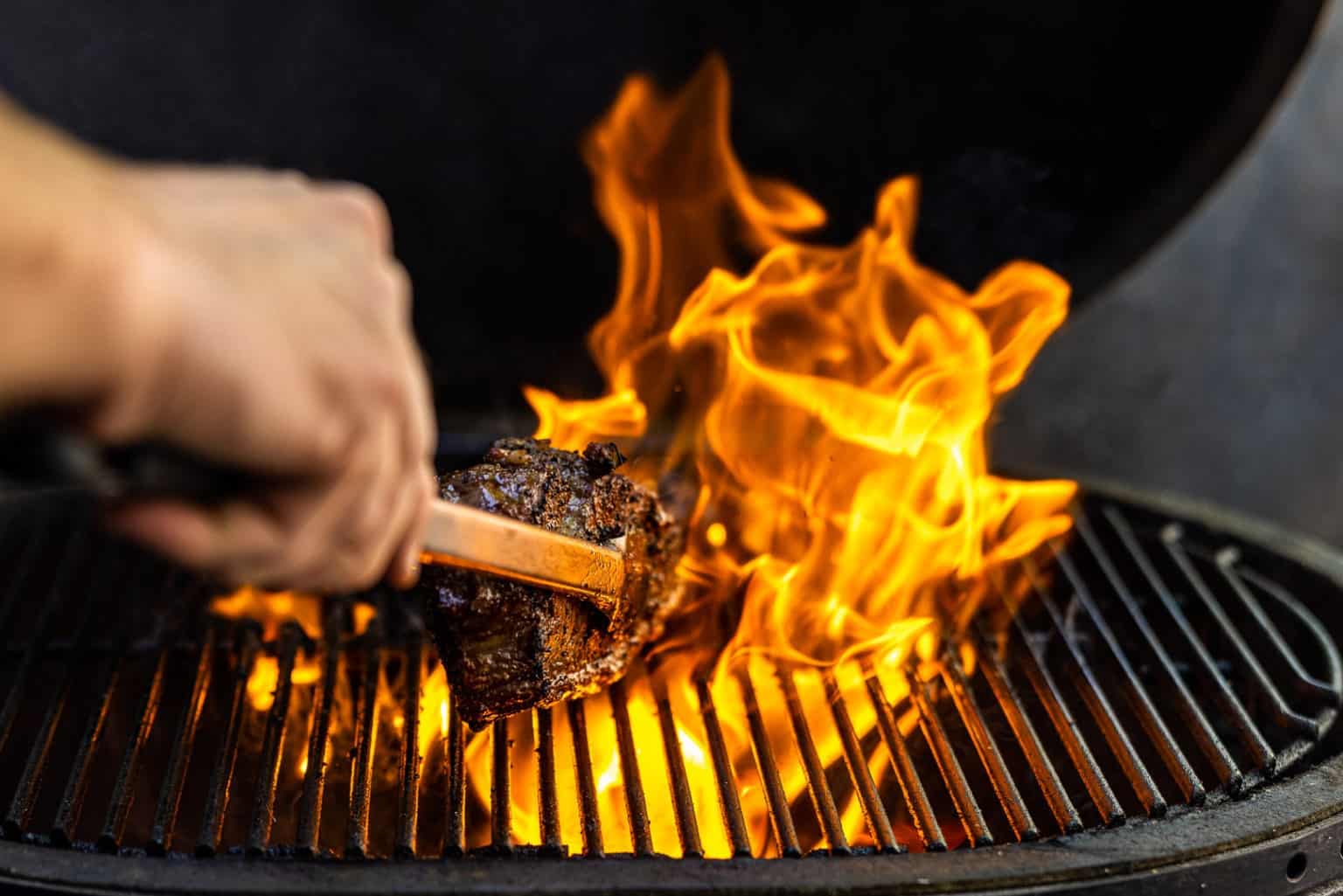 Meat Cooking Basics 101: When to Cook Hot and Fast | ThermoWorks