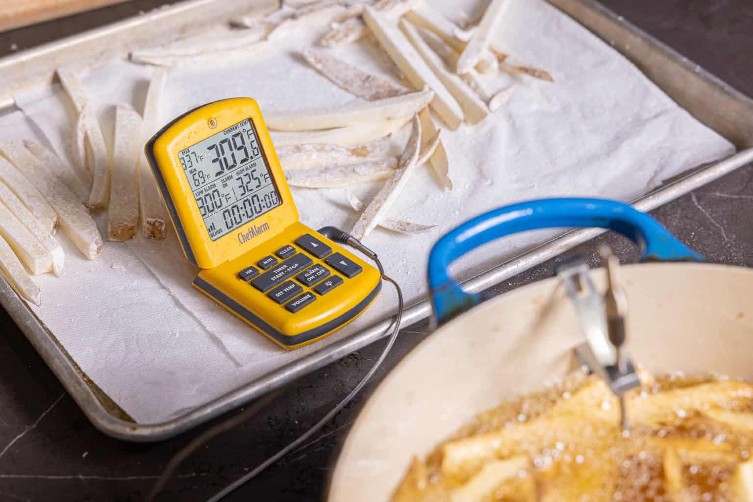 Smoked Brisket Poutine—Loaded French Fries | ThermoWorks