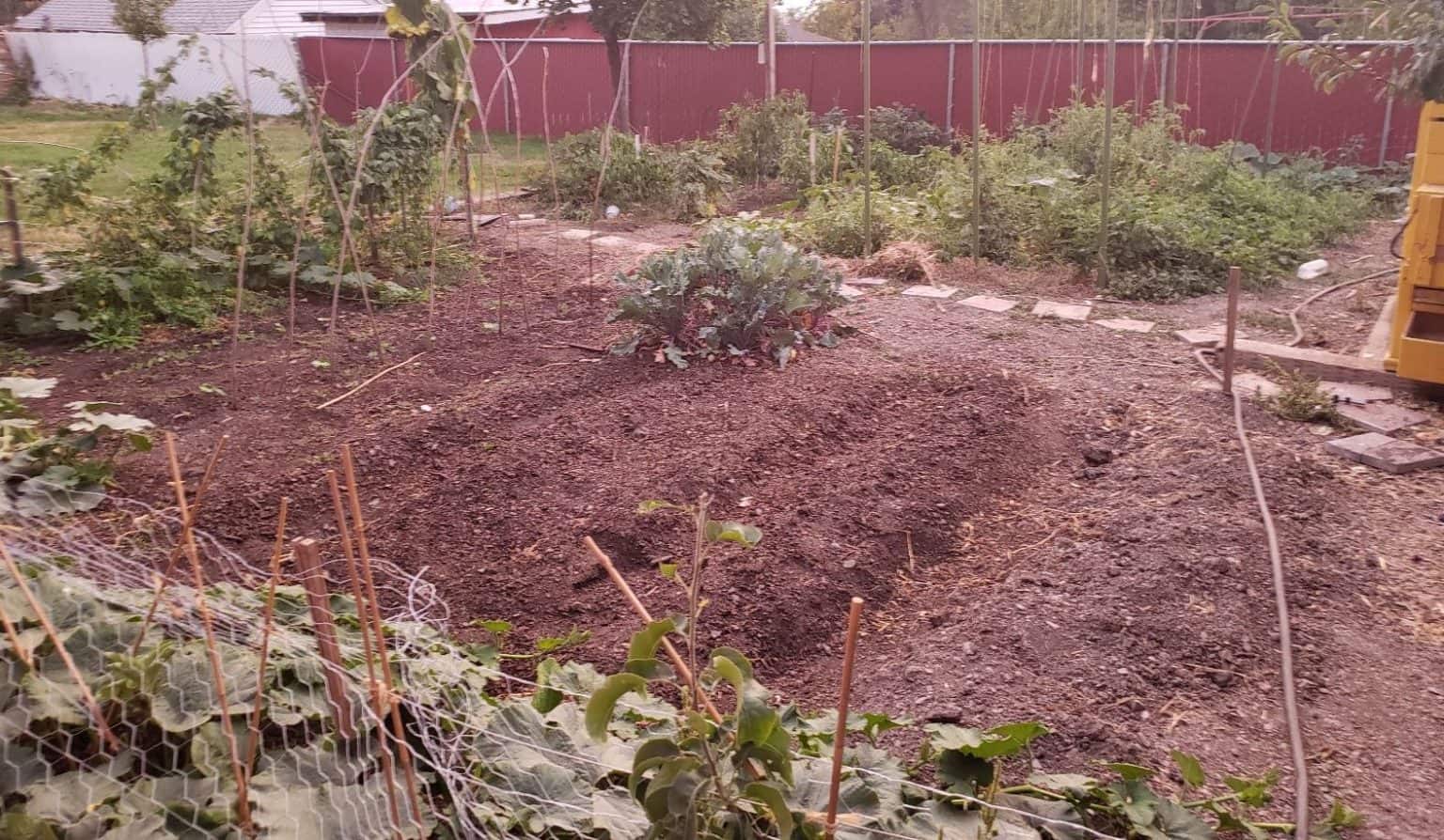 Compost Temperature Guide: Tips and Tools | ThermoWorks