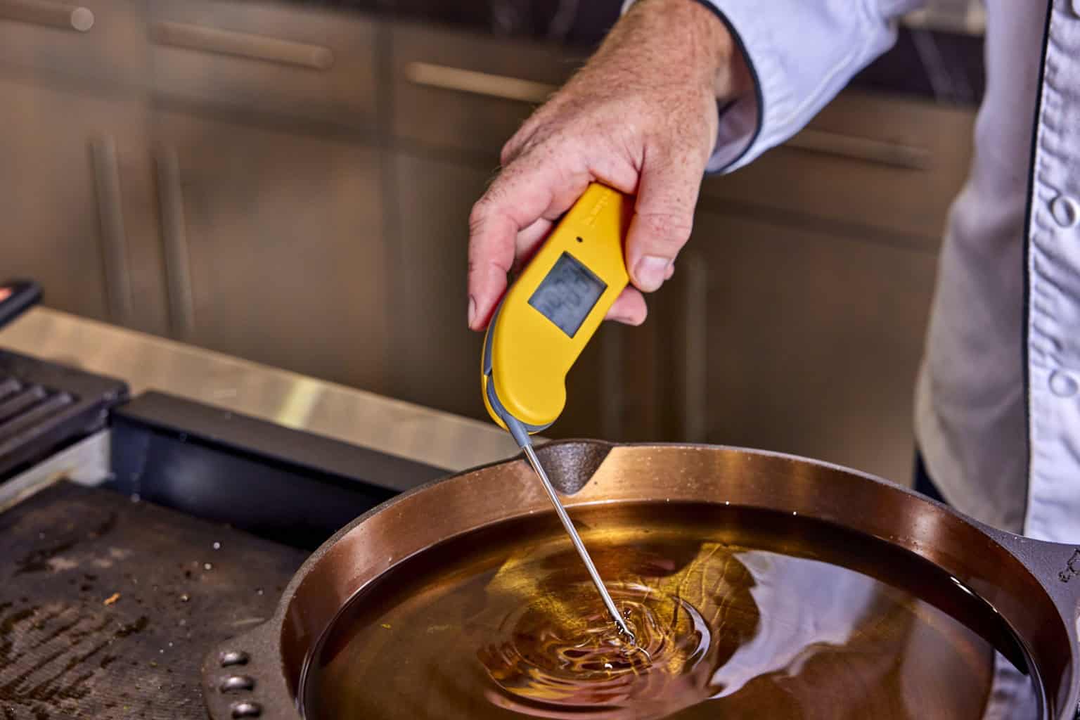 Pork Schnitzel Recipe and Critical Temperatures | ThermoWorks