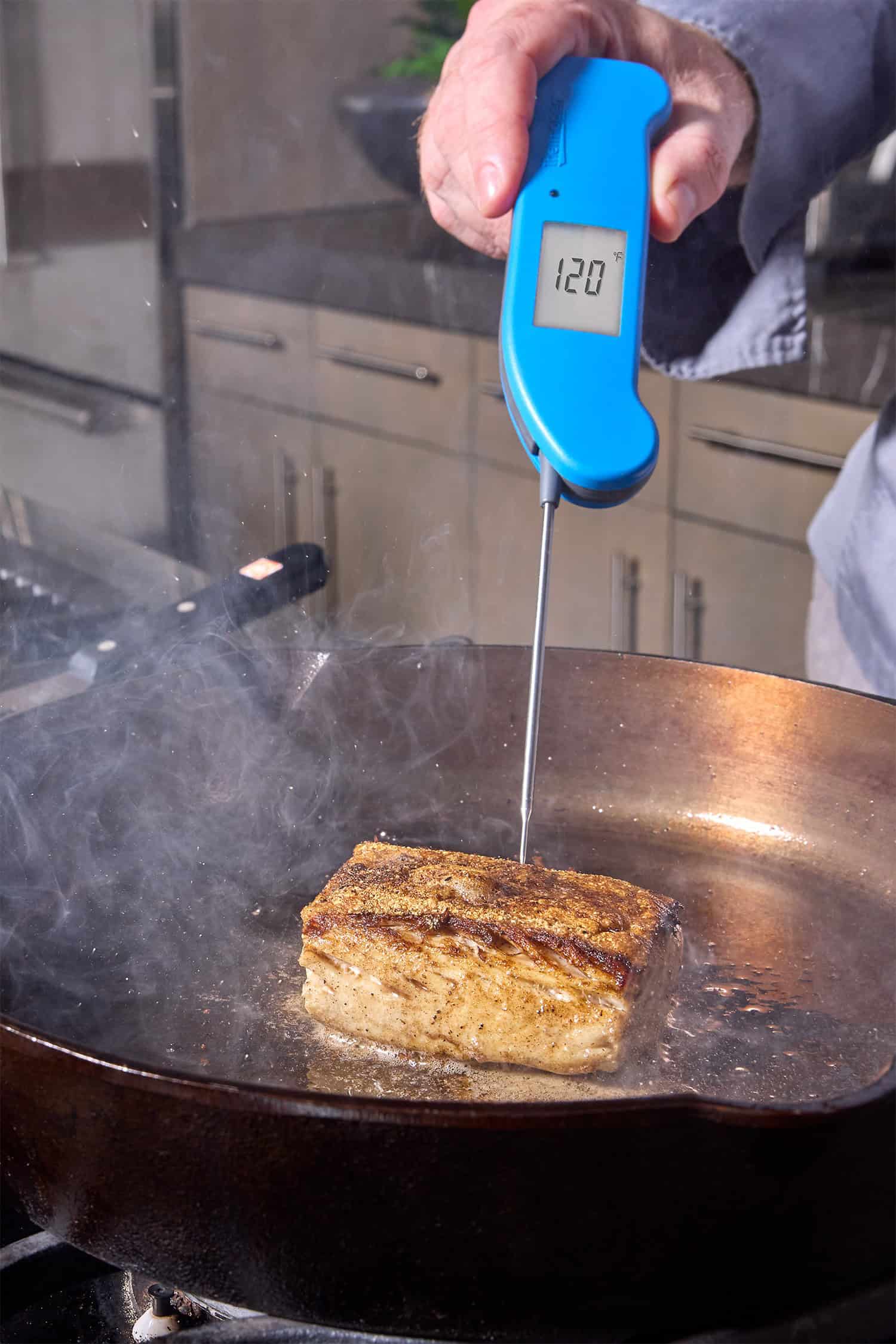 Pan-Seared Halibut: Critical Temps and a Delicious Sauce | ThermoWorks