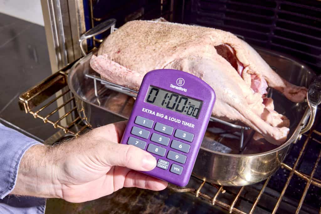 How to Roast a Goose: Temperatures for A Christmas Classic | ThermoWorks